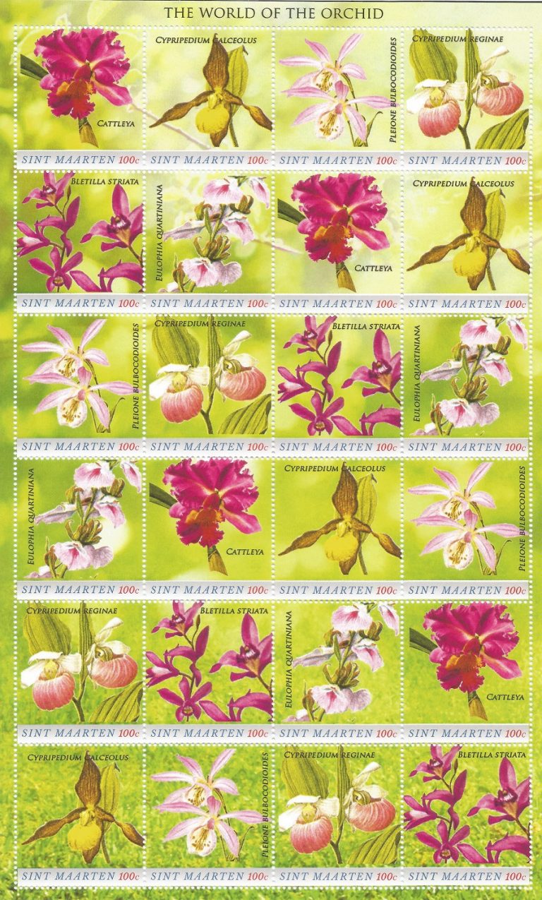 The World of Orchids – 24 Stamps | Cpost International